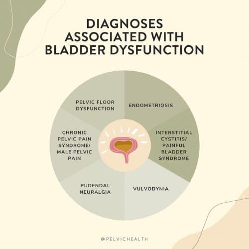 Working on mind over bladder? Urine good company