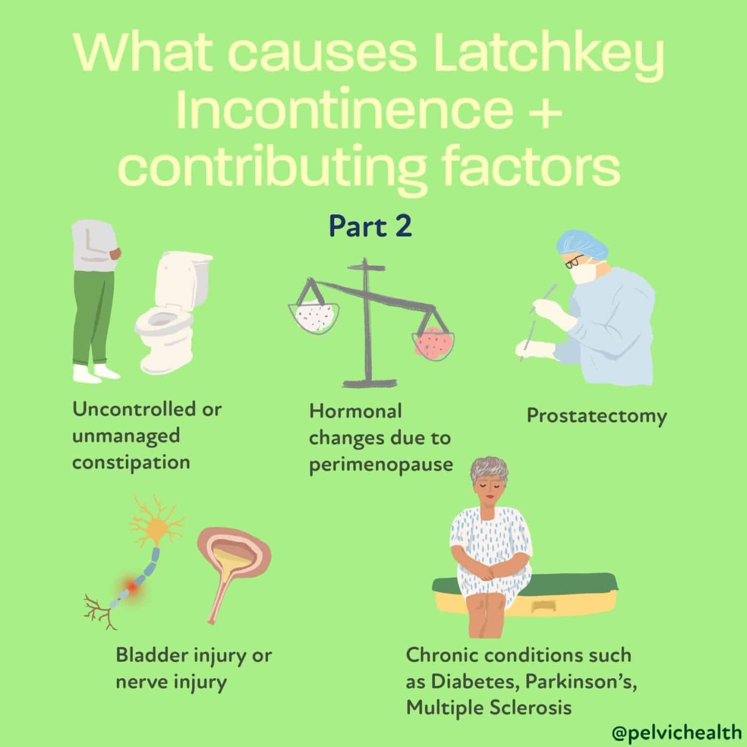 Latchkey Incontinence; Why Does it Happen? Part 2