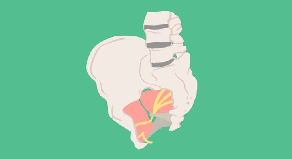 Pudendal Neuralgia Pelvic Floor Physical and Occupational Therapy