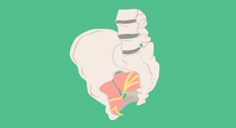 Pudendal Neuralgia Pelvic Floor Physical and Occupational Therapy