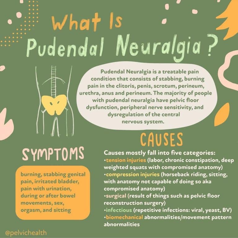 Pudendal Neuralgia Pelvic Floor Physical and Occupational Therapy