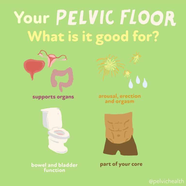 The Link Between Pelvic Floor Muscles And Sexual Satisfaction
