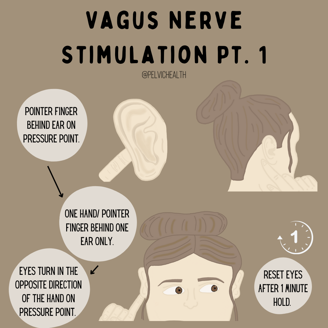 A Guide to Relaxing Your Pelvic Floor