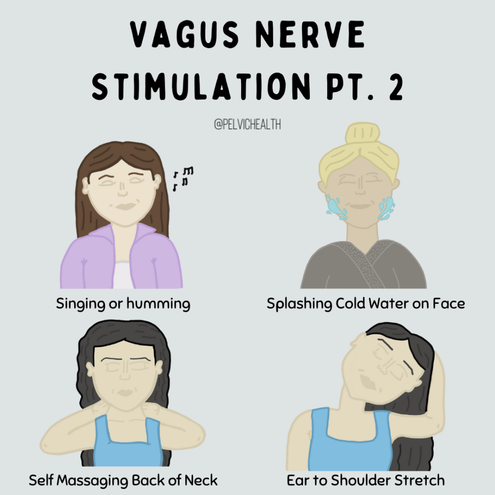 A Guide to Relaxing Your Pelvic Floor