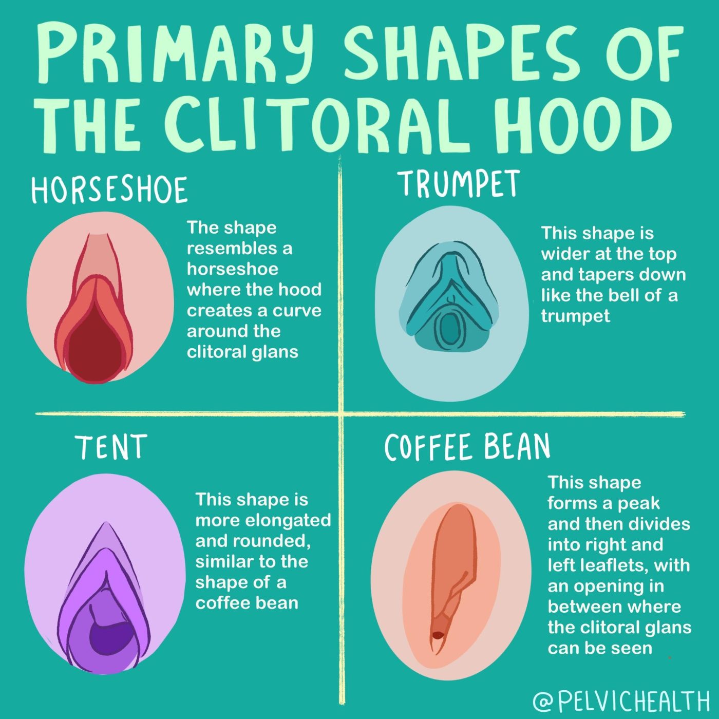 How High is Your Clitoris IQ?