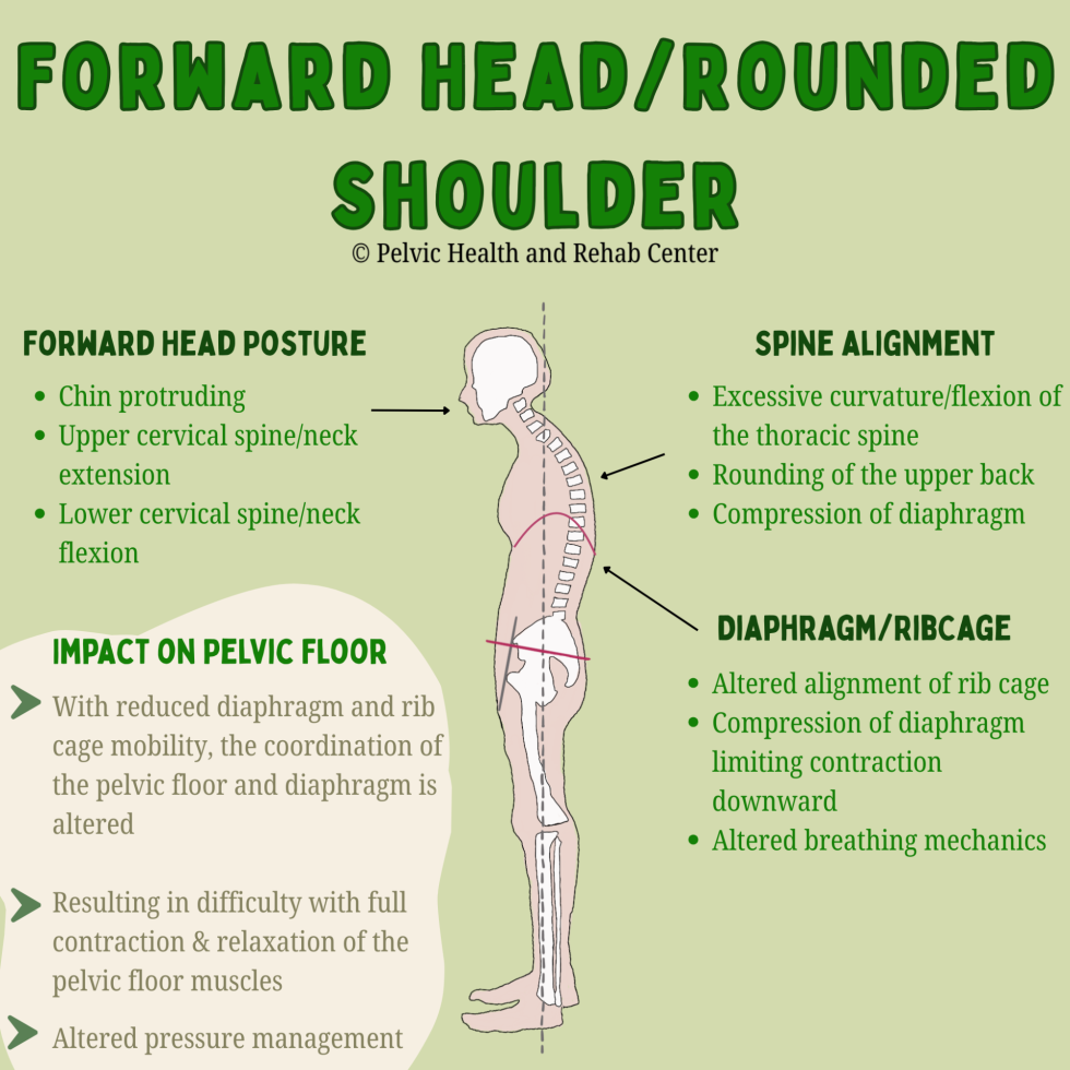 Posture and the Pelvic Floor: Why Your Posture Matters!