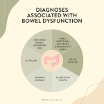 Origins of Our Private Parts: A Fascinating Etymology Lesson