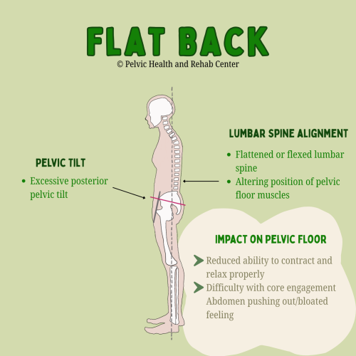 Posture and the Pelvic Floor: Why Your Posture Matters!