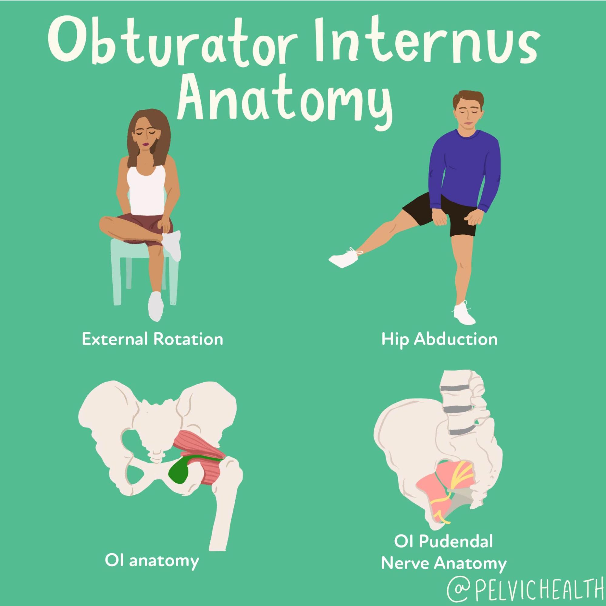 Obturator Internus: A Treatable But Often Overlooked Little Beast