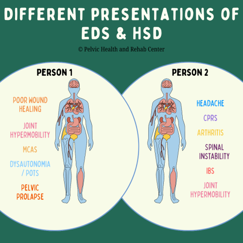 Pelvic Floor Therapy for EDS & Hypermobility