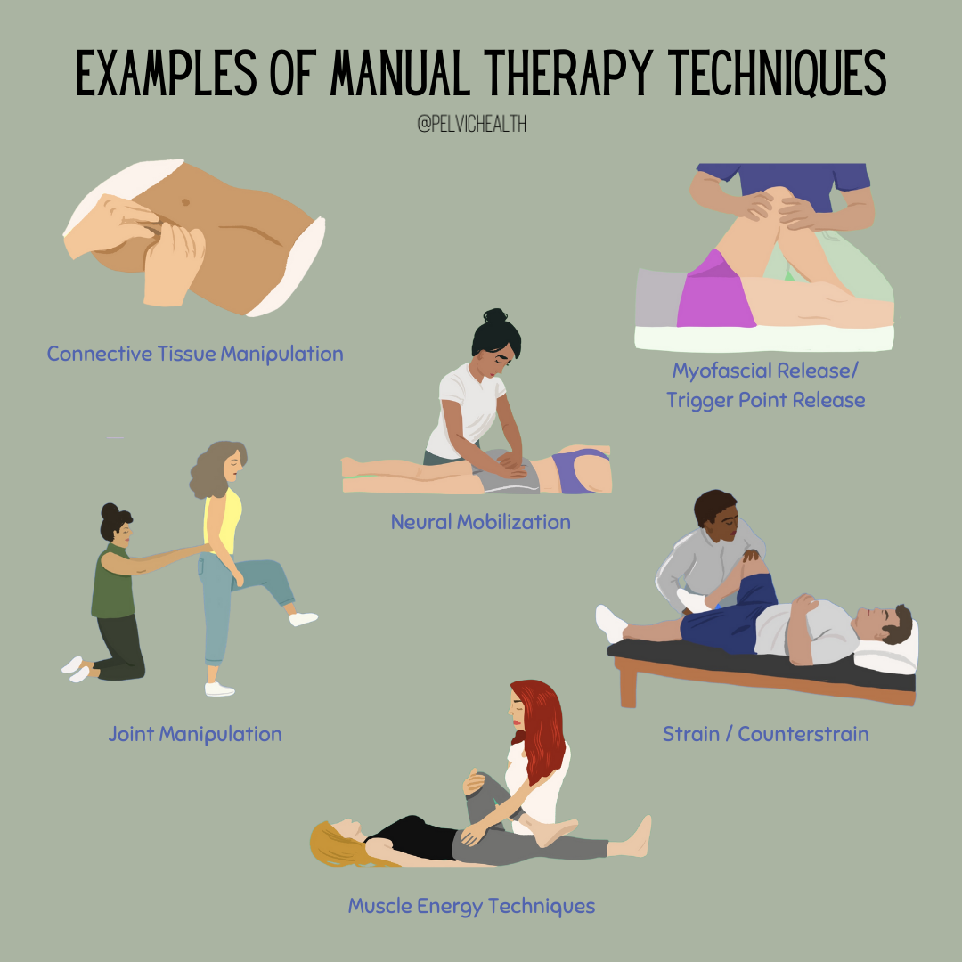 Manual Therapy for Myofascial Pelvic Pain: Part 2